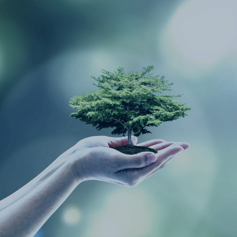 About Us - Carter-Ruck